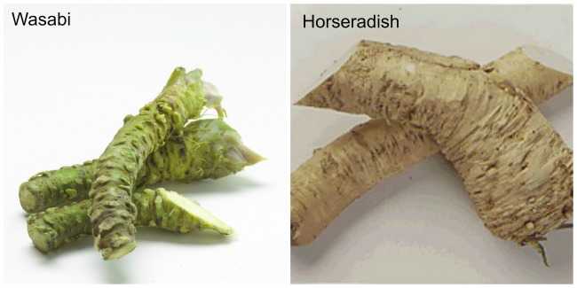 What's Really In That Green Paste You Call Wasabi? | Allrecipes